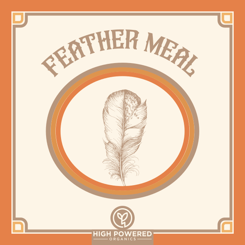 Feather Meal | High Powered Organics Australia